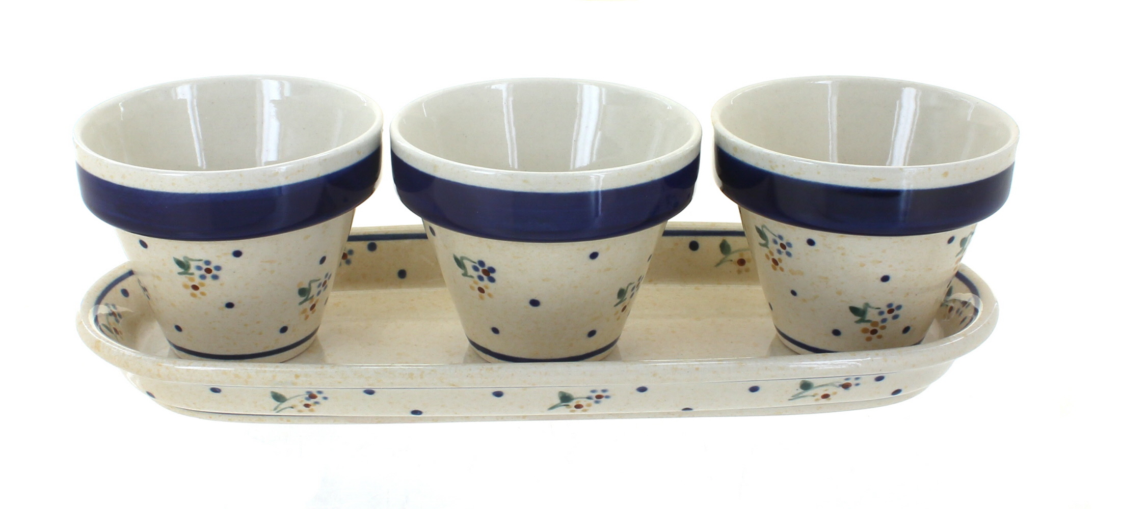 Blue Rose Polish Pottery | Country Meadow Flower Pots with Tray